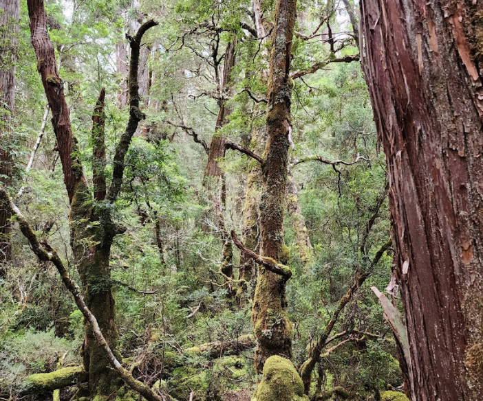 Ărramăt แผนอธิปไตยด้านข้อมูล (ภาษาอังกฤษ) - Arramat Project